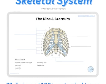 Digestive System Workbook ~ Digital Practice Sheet Printable Download ...