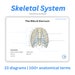 Endocrine System Digital Sticker Pack Pre-crop Goodnotes Stickers for ...