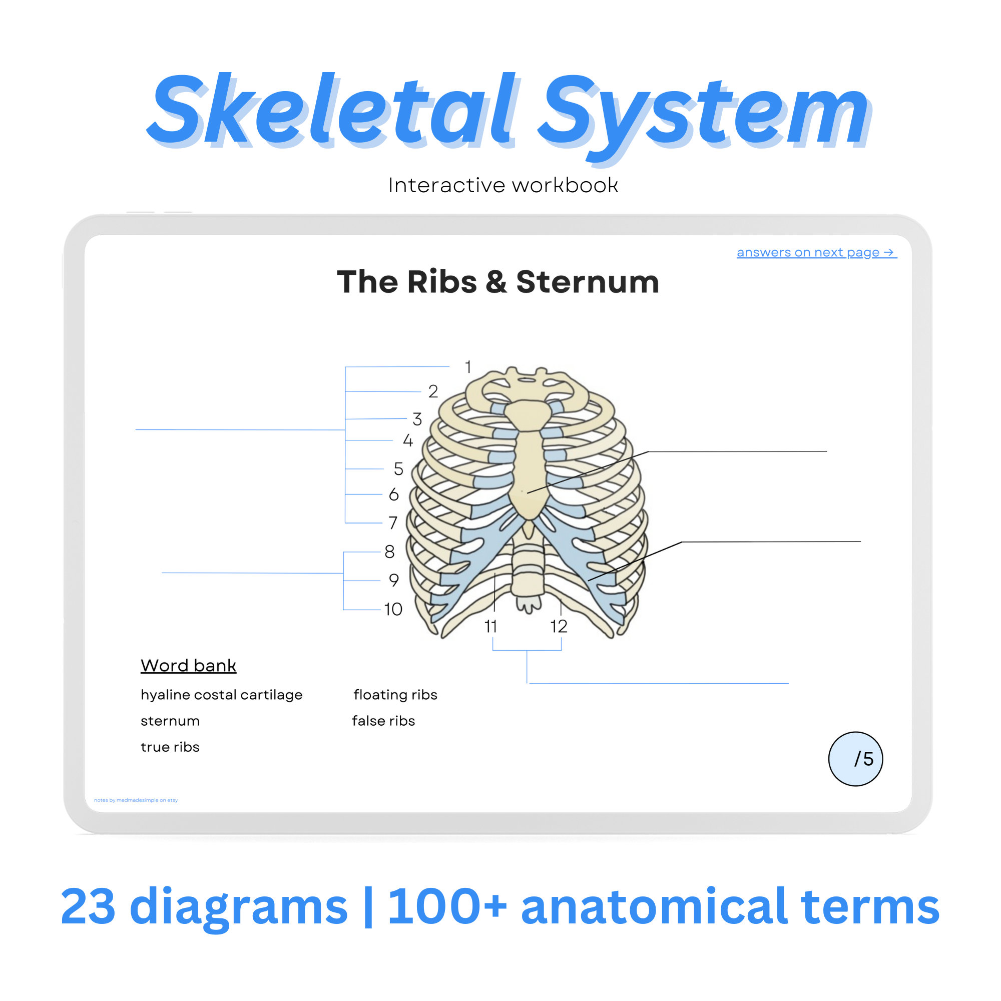 Skeletal System Workbook: Anatomy Practice Sheets (digital Download) - Etsy