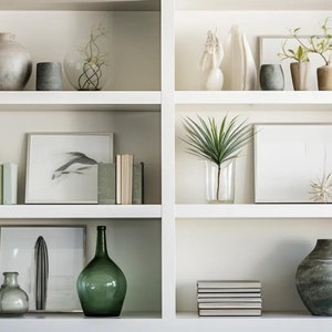 Zoom Background Virtual Videoconference Green Plant Cozy Shelving Zoom ...