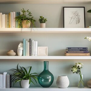 Zoom Background Virtual Videoconference Green Plant Cozy Shelving Zoom ...