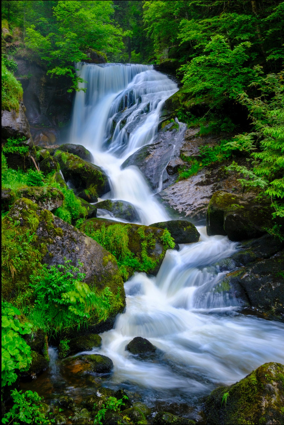 German Forest Waterfall Photo Print, Emerald Green Landscape - Etsy