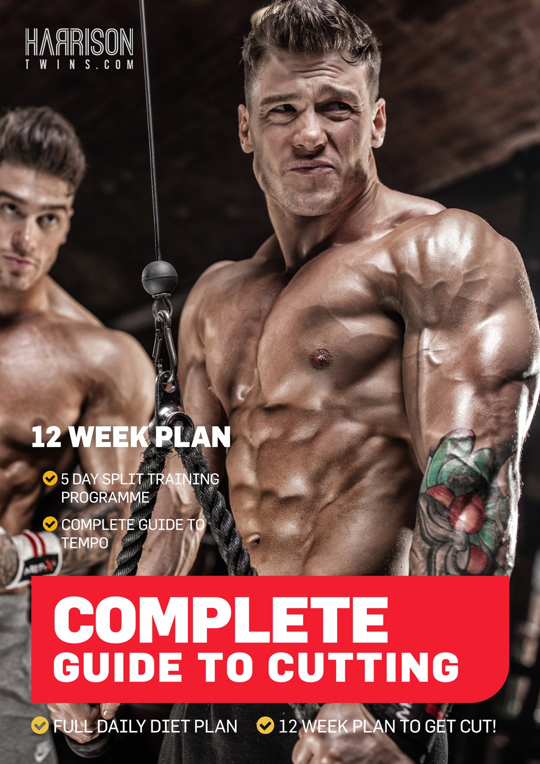 12 Week Cutting Guide for Males & Females - Etsy