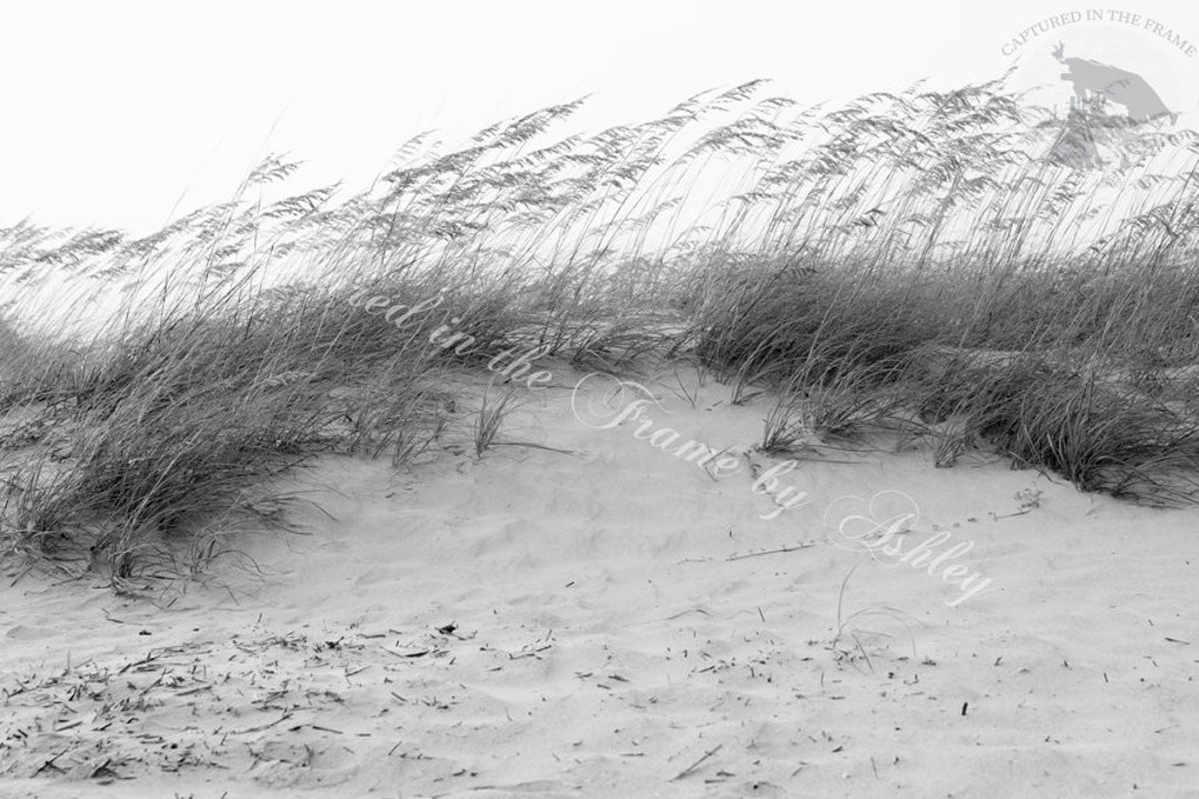 Windy Dunes OKI Photograph Artwork - Etsy