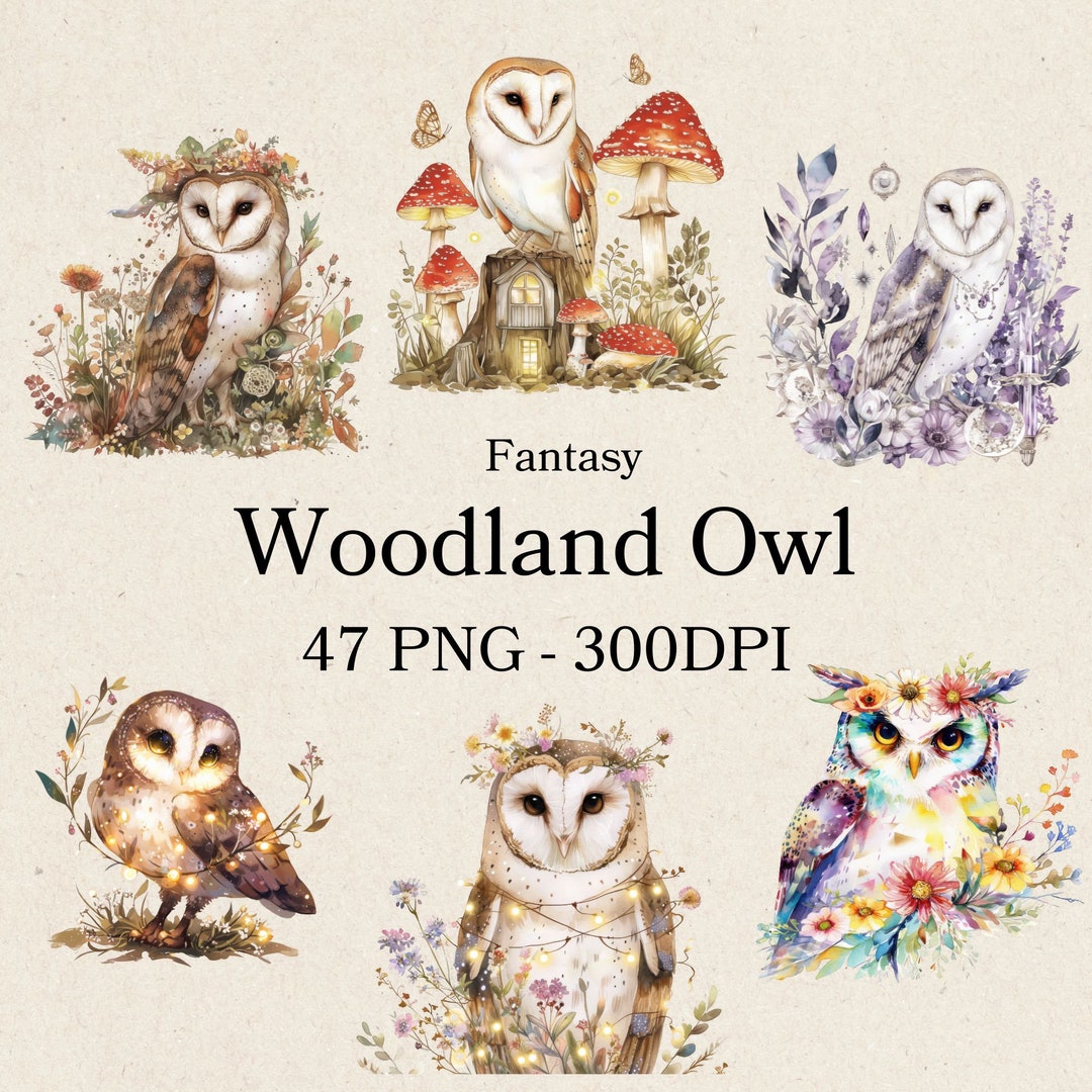 Fantasy Woodland Owl Clip Art Set 47 PNG 300 DPI Watercolor Owls for ...