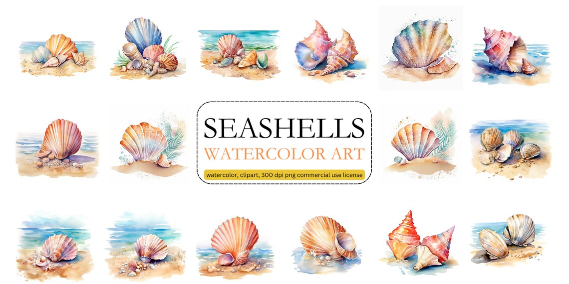 Seashell Clipart, PNG, Commercial Use, Digital Download - Etsy