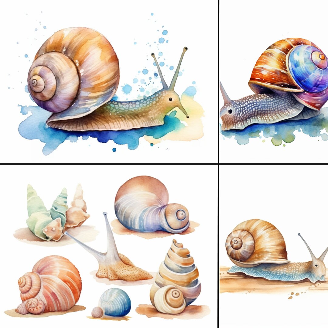 Snails Clipart, PNG, Commercial Use, Digital Download - Etsy