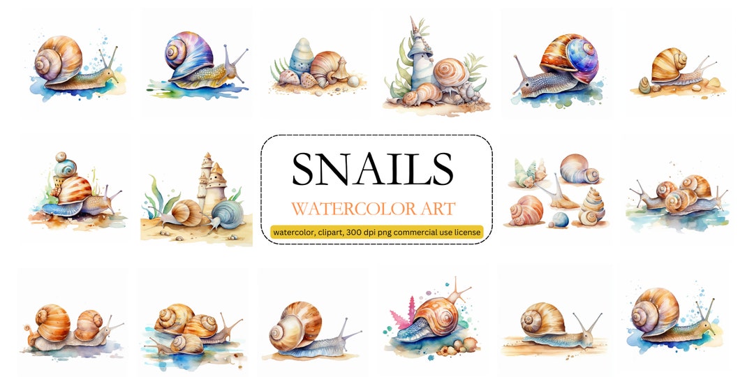 Snails Clipart, PNG, Commercial Use, Digital Download - Etsy