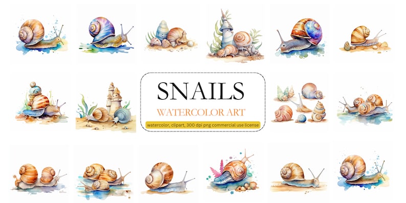 Snails Clipart, PNG, Commercial Use, Digital Download - Etsy