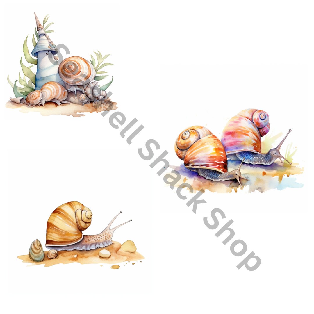 Snails Clipart, PNG, Commercial Use, Digital Download - Etsy