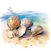 Seashell Clipart, PNG, Commercial Use, Digital Download - Etsy