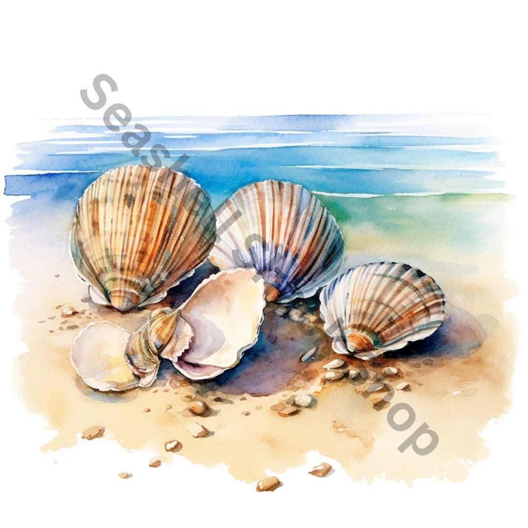 Seashell Clipart, PNG, Commercial Use, Digital Download - Etsy