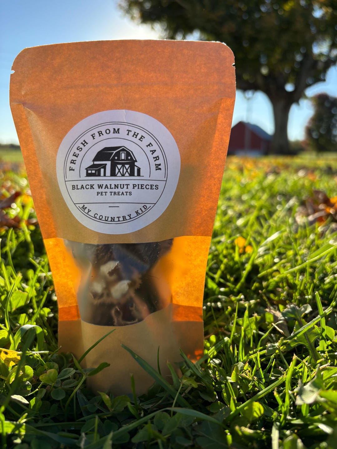 Cracked Black Walnuts: Small Animal Treats for Hamsters, Rats, Gerbils ...