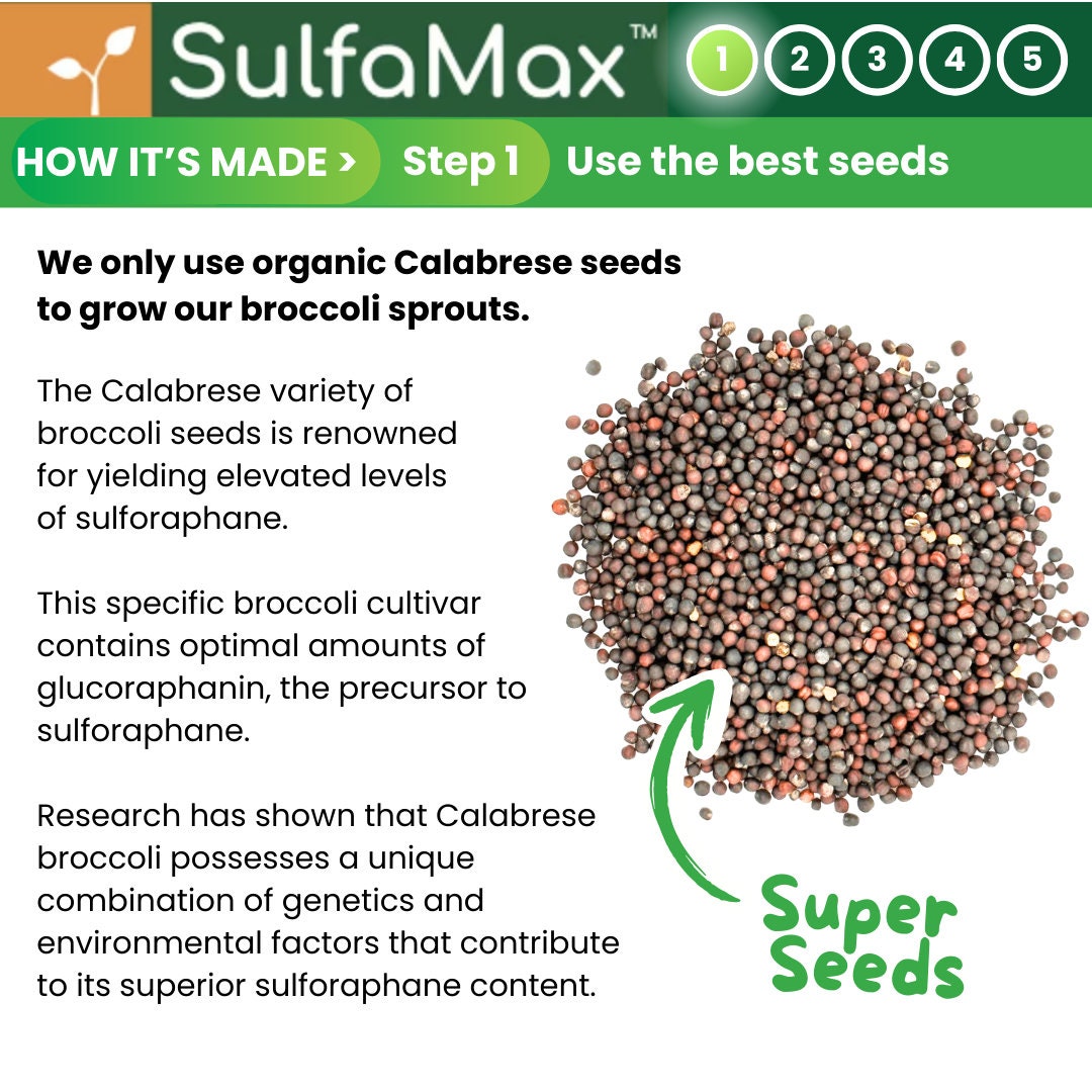 High-strength Sulforaphane Supplement - UK Grown Organic Broccoli ...