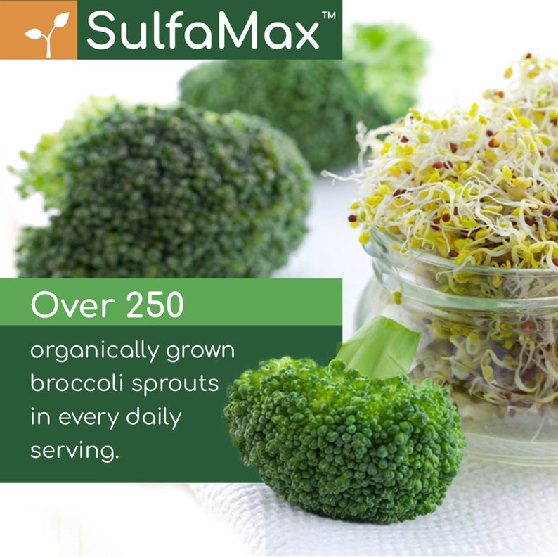 High-strength Sulforaphane Supplement UK Grown Organic Broccoli Sprouts ...