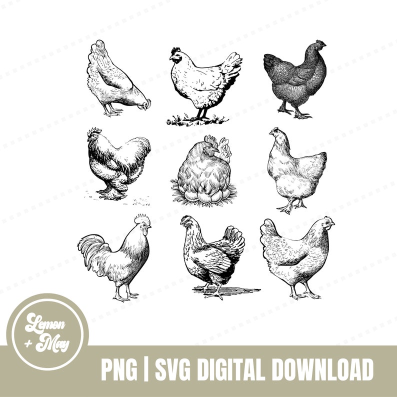 Vintage Chickens SVG PNG Chicken PNG Cricut Cutout Digital Download - Etsy