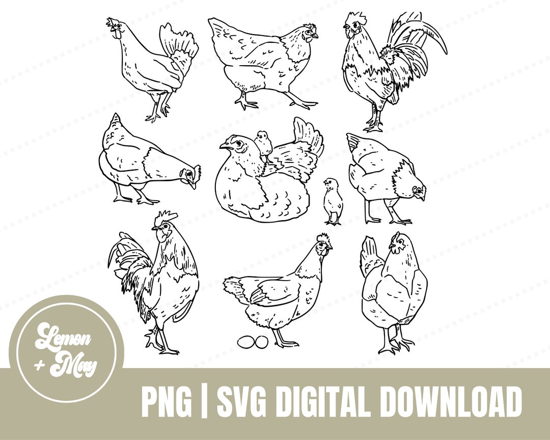 Hühner SVG PNG Huhn PNG Cricut Ausschnitt Digital Download - Etsy.de