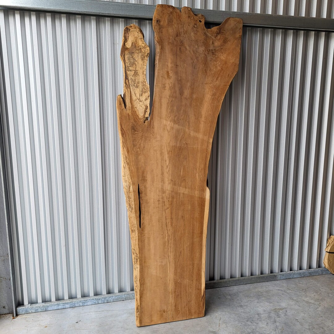 Teak Wood Table Top Made From a Tree Trunk, Teak Table Tops, Tree Edge ...