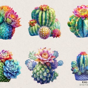Desert Cactus Watercolor Clipart Bundle, Succulent Plants PNG, Cactus ...