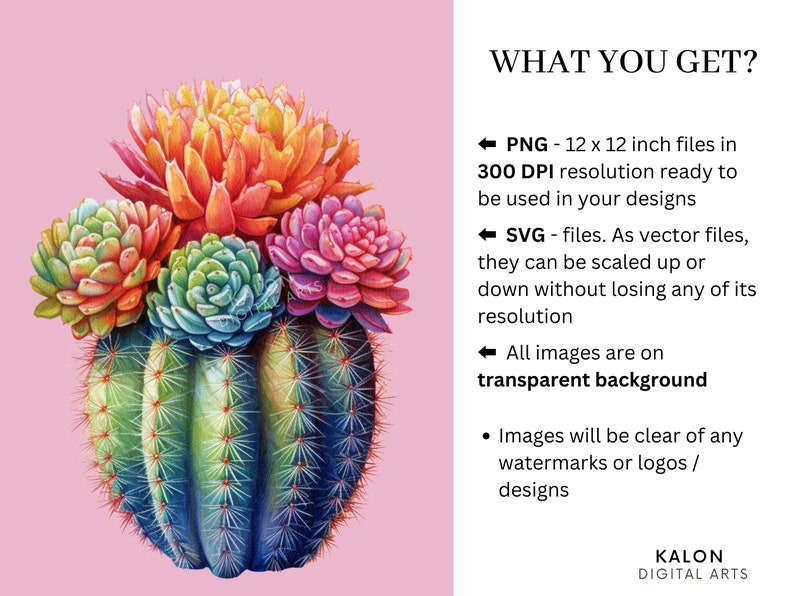 Desert Cactus Watercolor Clipart Bundle, Succulent Plants PNG, Cactus ...