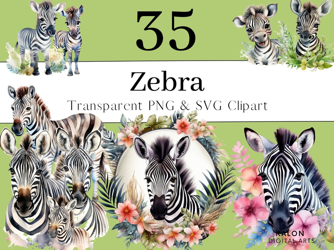 Zebra Watercolor Clipart Bundle, Zebra Children's Book Illustrations ...