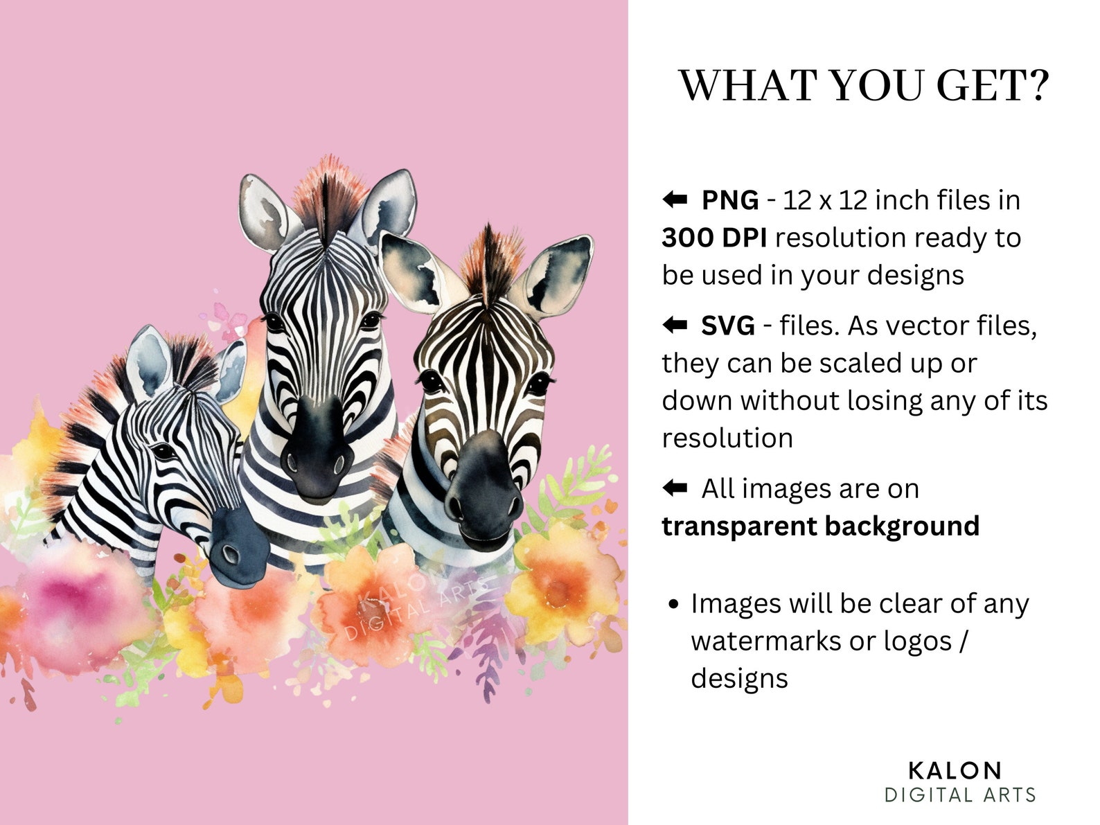 Zebra Watercolor Clipart Bundle, Zebra Children's Book Illustrations ...