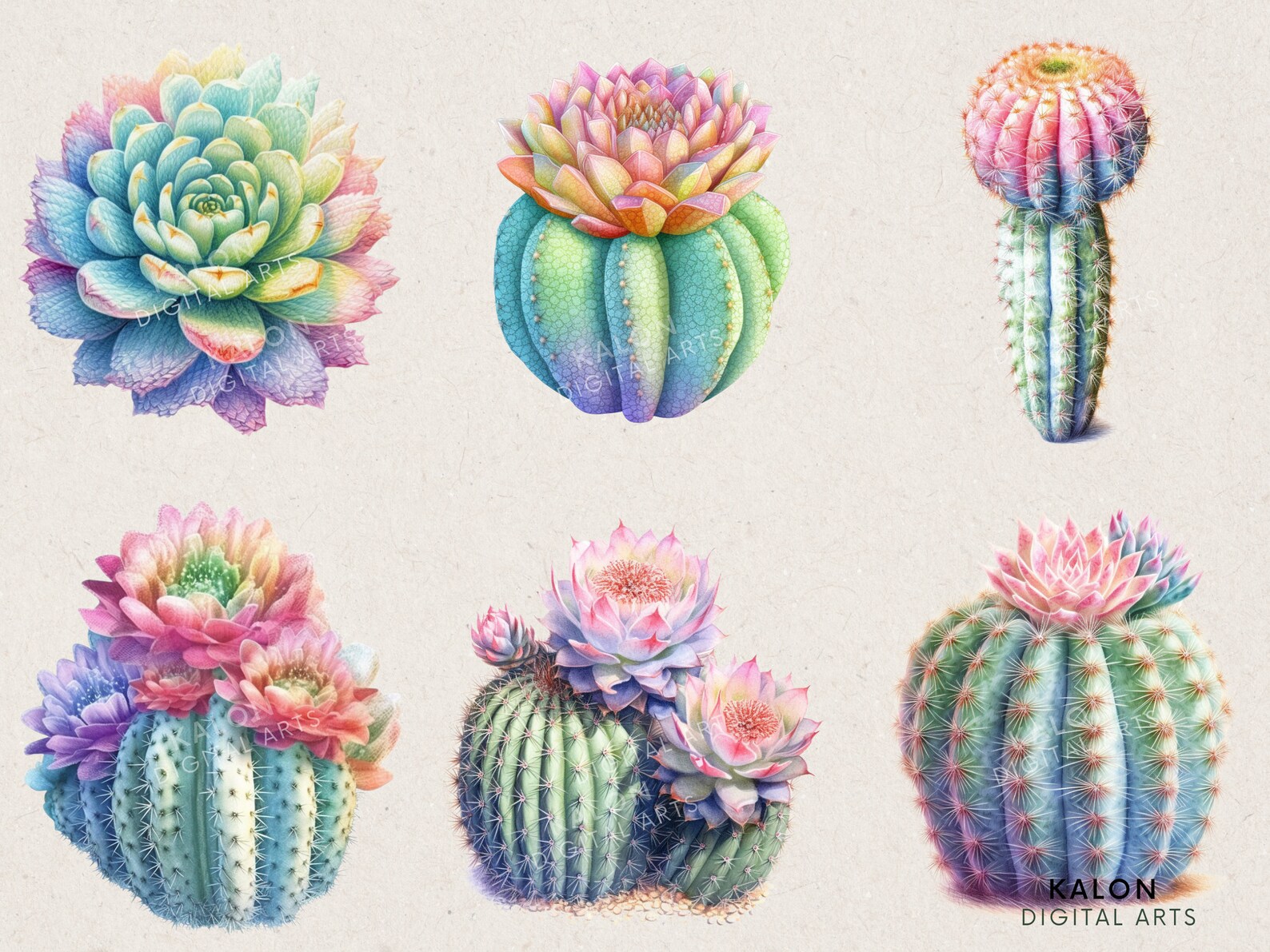 Cactus Pastel Watercolor Clipart Bundle, Cactus Flower Clipart PNG ...