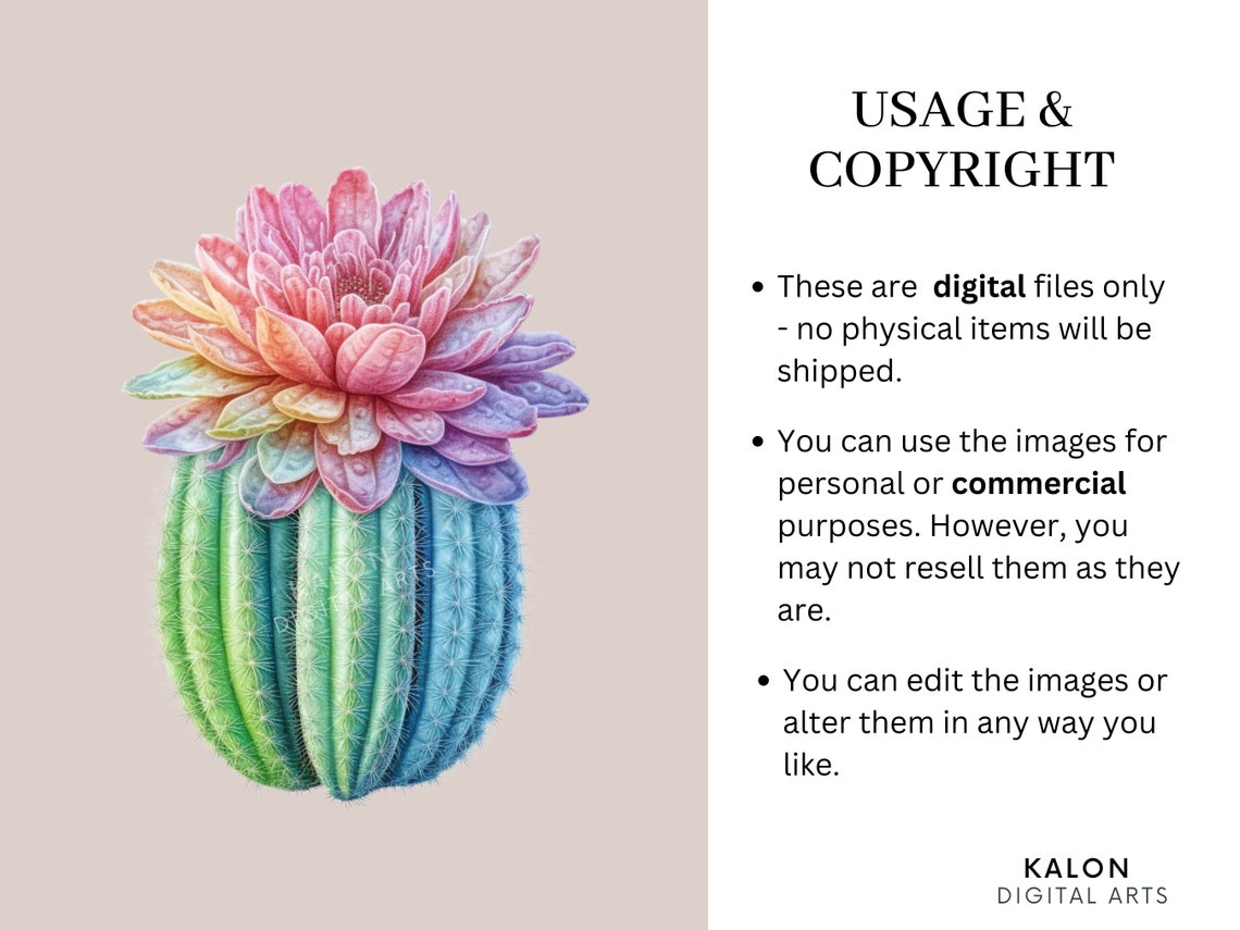 Cactus Pastel Watercolor Clipart Bundle, Cactus Flower Clipart PNG ...