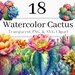 Desert Cactus Watercolor Clipart Bundle Succulent Plants PNG - Etsy