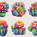 Desert Cactus Watercolor Clipart Bundle Succulent Plants PNG - Etsy
