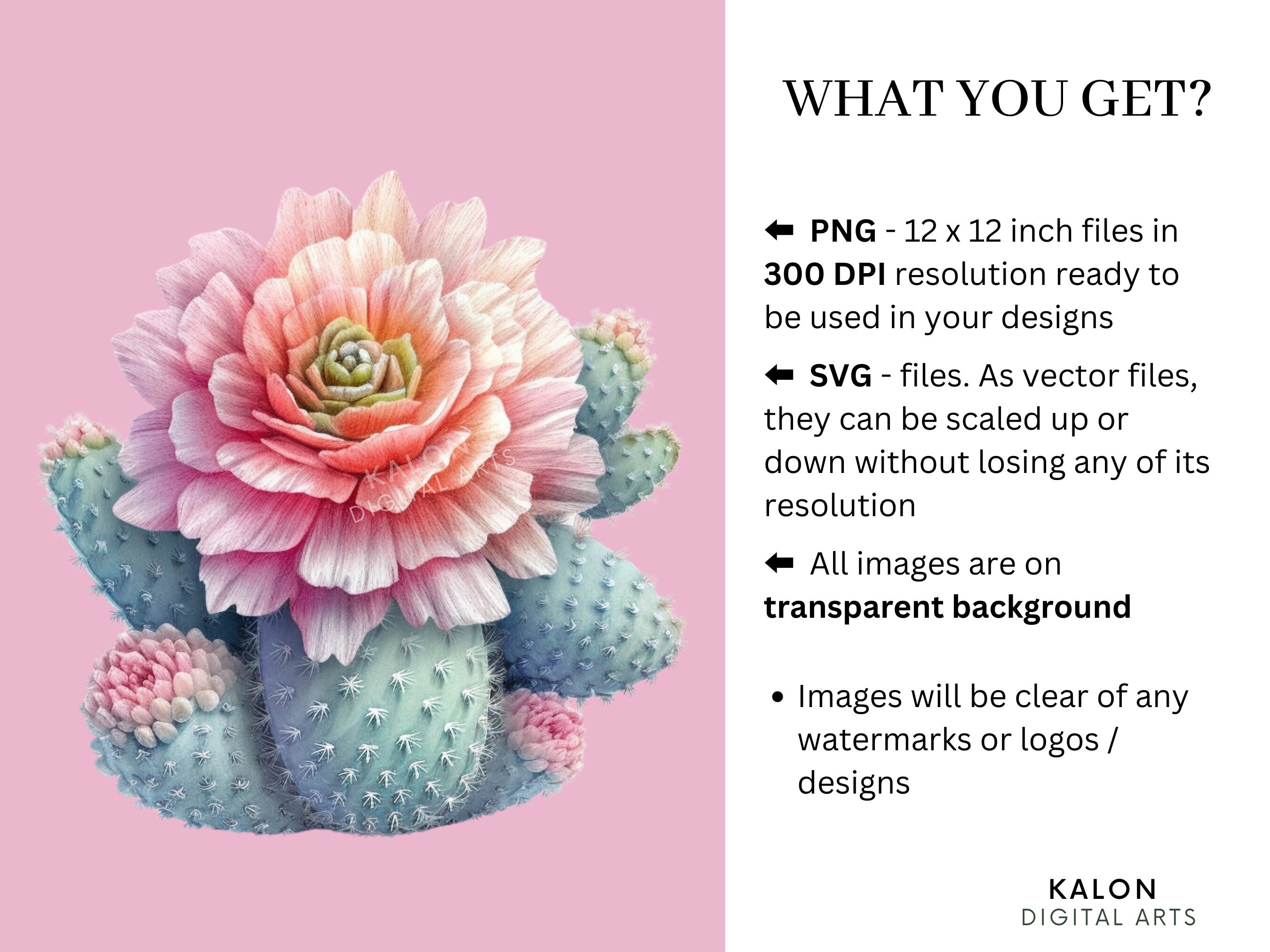 Cactus Pastel Watercolor Clipart Bundle, Cactus Flower Clipart PNG ...