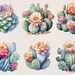 Cactus Pastel Watercolor Clipart Bundle, Cactus Flower Clipart PNG ...