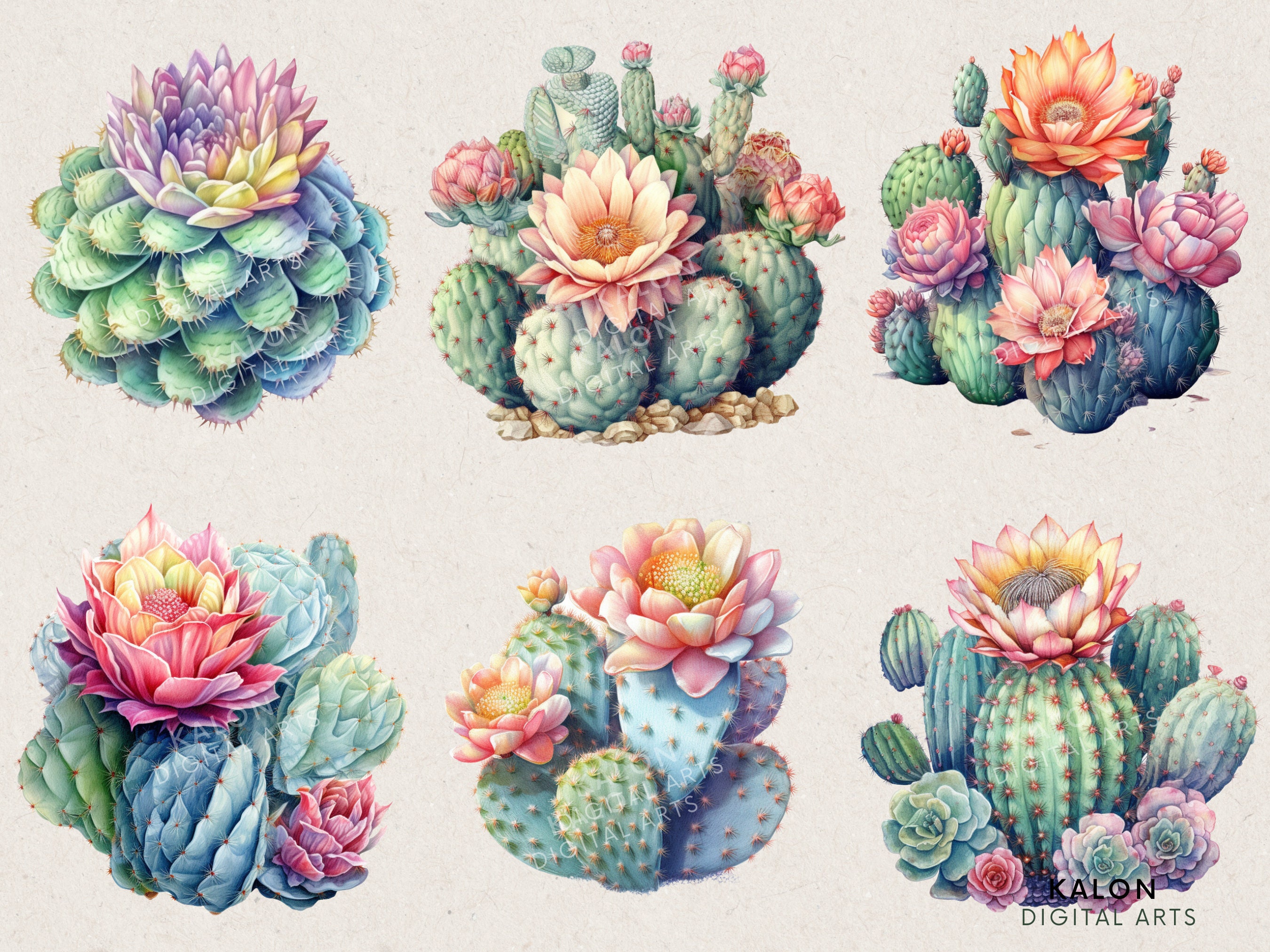Cactus Pastel Watercolor Clipart Bundle, Cactus Flower Clipart PNG ...
