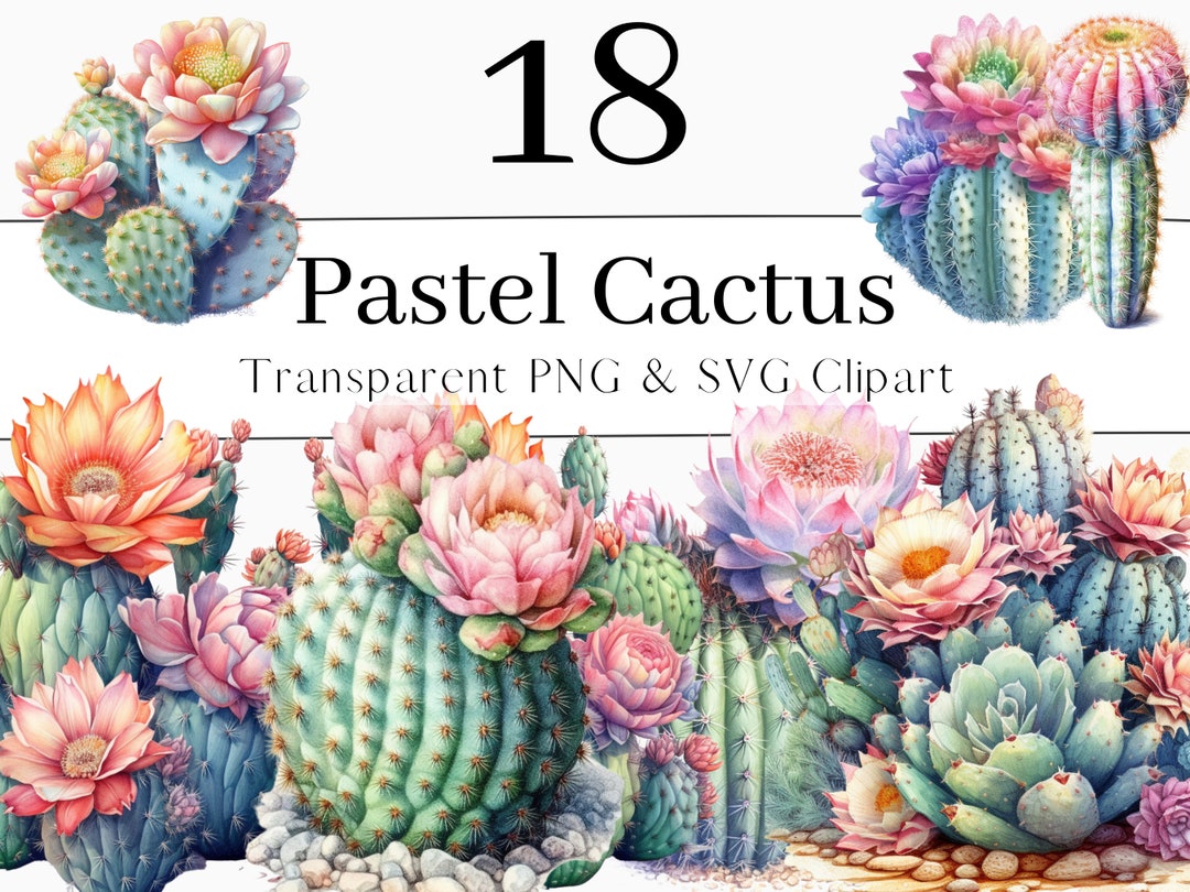 Cactus Pastel Watercolor Clipart Bundle, Cactus Flower Clipart PNG ...