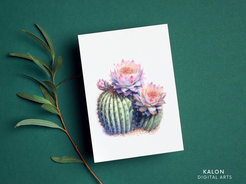 Cactus Pastel Watercolor Clipart Bundle, Cactus Flower Clipart PNG ...