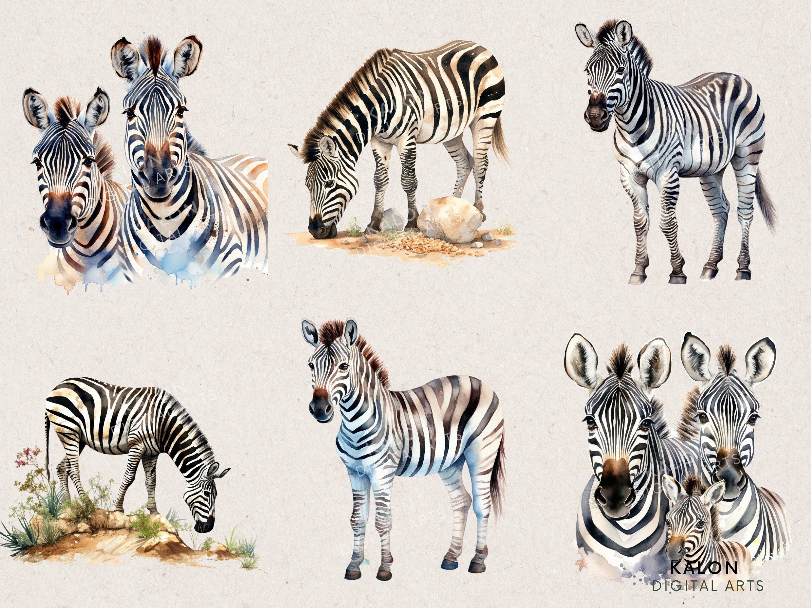 Zebra Watercolor Clipart Bundle, Zebra Children's Book Illustrations ...