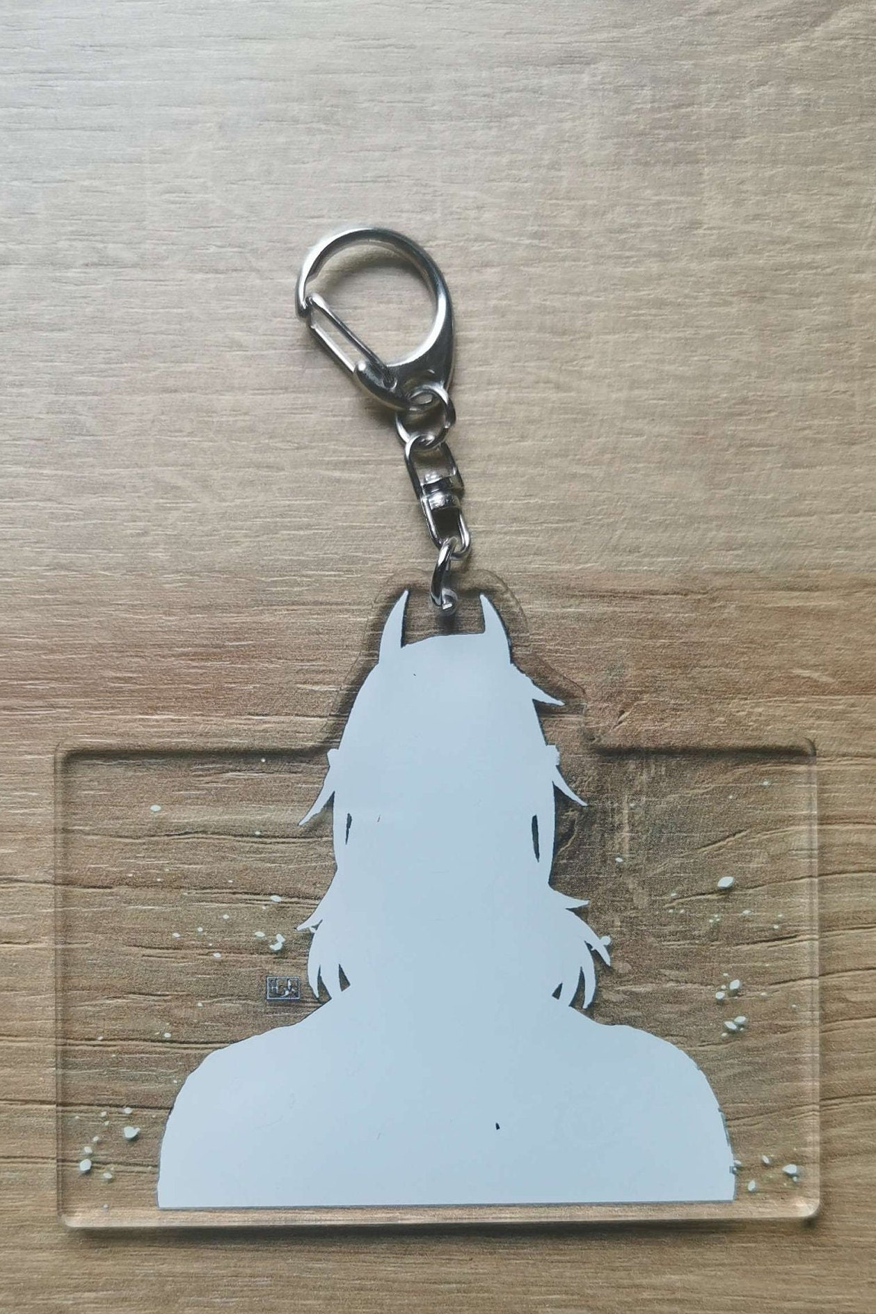 ENTAINITI Webtoon Comic Anime Manga Keychain Acrylic Charms Collection ...