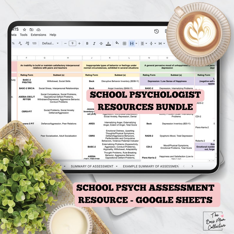 School Psychologist | PSW Model | ED Assessment | Mental Status Exam ...