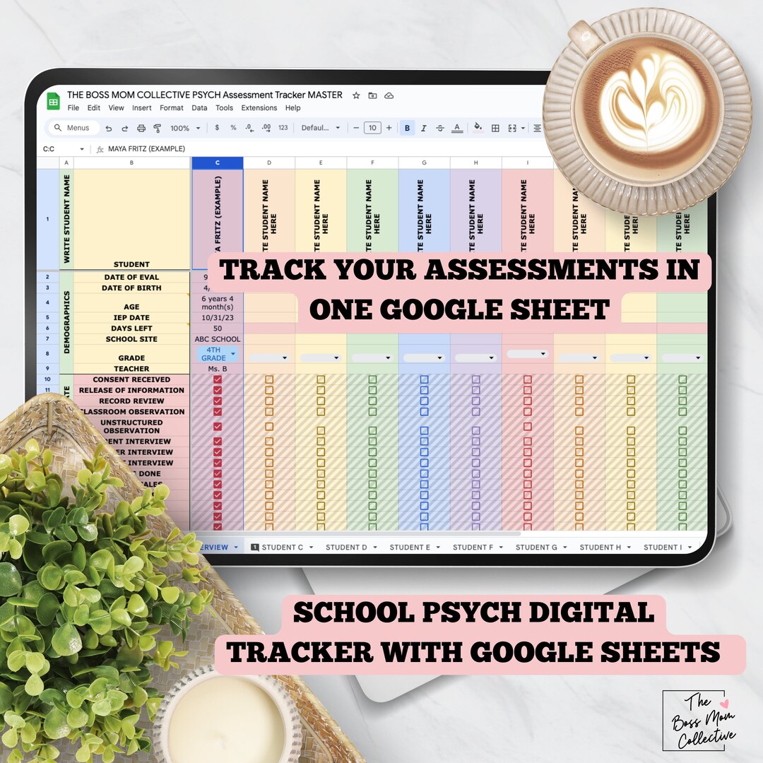 ASSESSMENT CHECKLIST | School Psychologist Caseload Spreadsheet ...