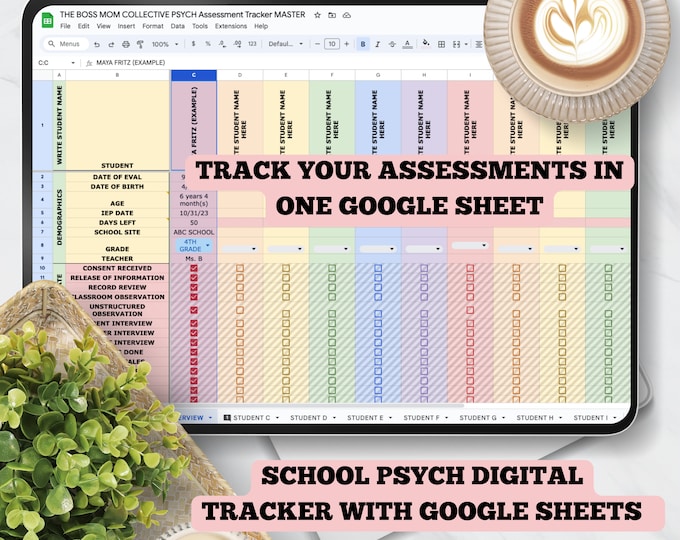 ASSESSMENT CHECKLIST | School Psychologist Caseload Spreadsheet ...