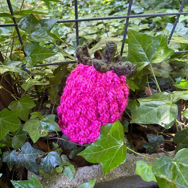 Raspberry Plushie - Etsy