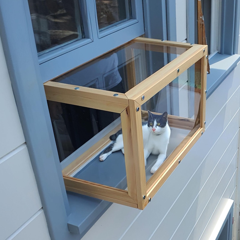 Cat Window Box - Etsy