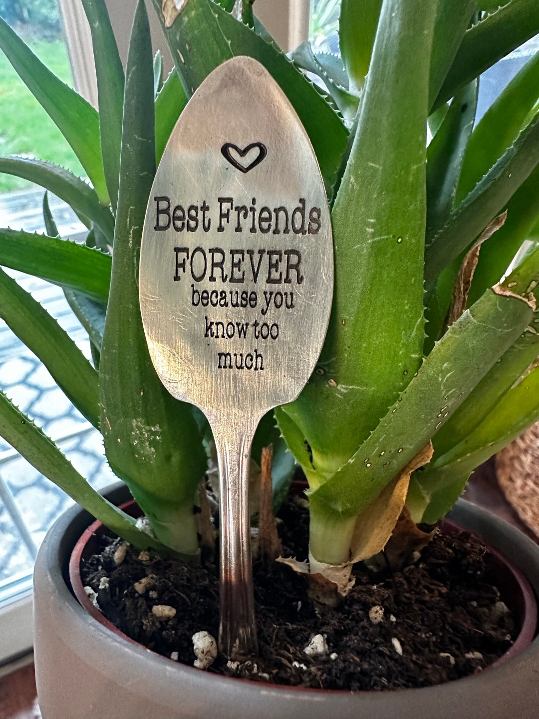 Plant Gift, Garden Marker,friend Gift, Garden Gift, Funny Plant Gift ...