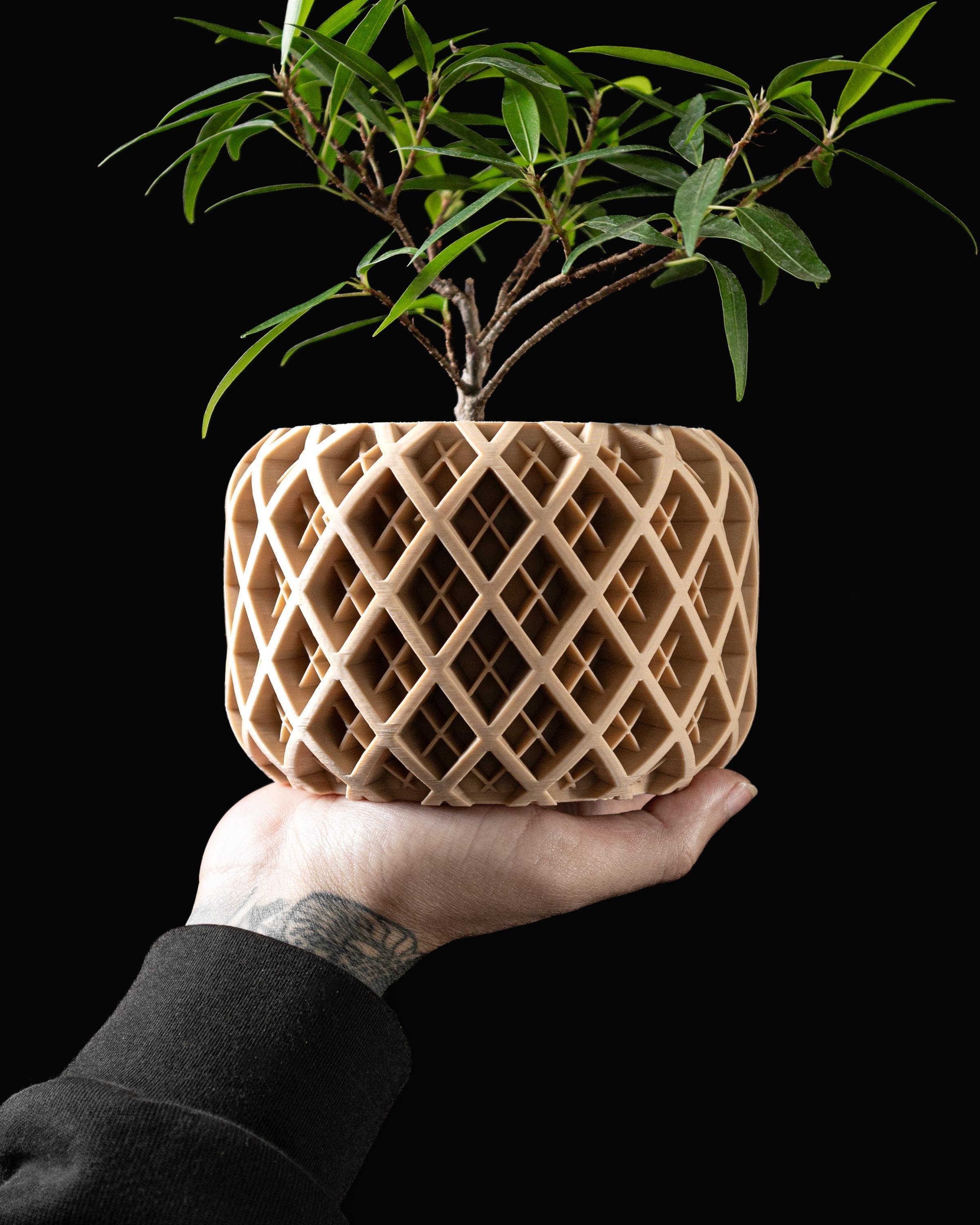 Sculpted Planter Pot: 3D Printed Torio Design - Etsy