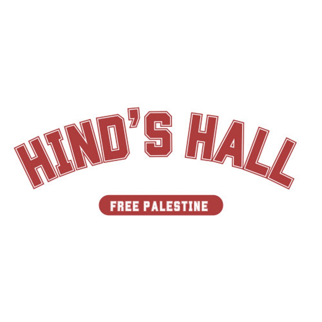 The Hinds Hall Free Palestine T-shirt: Solidarity Statement Tee ...