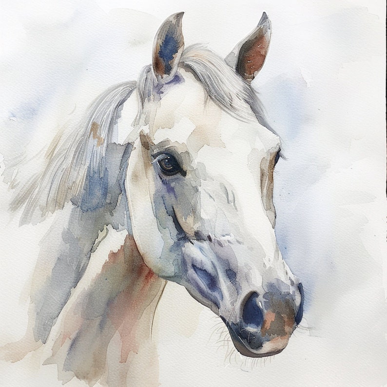 Watercolor Horse Bundle - 4 High Quality .pngs - Transparent ...