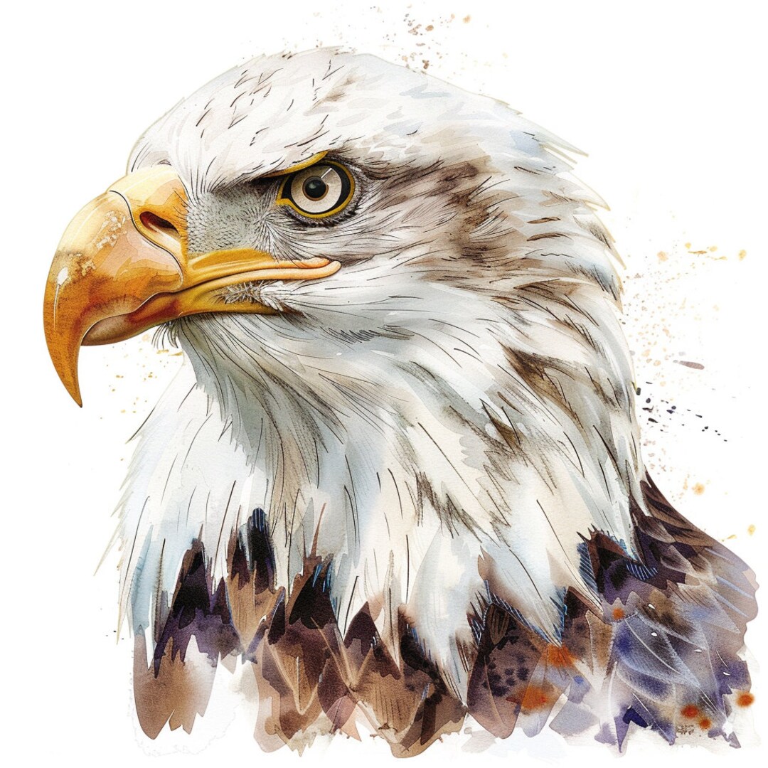 Watercolor Eagle Bundle - 4 High Quality .pngs - Transparent ...