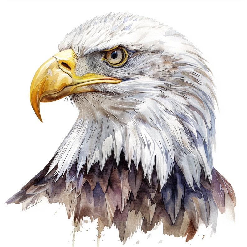 Watercolor Eagle Bundle - 4 High Quality .pngs - Transparent ...