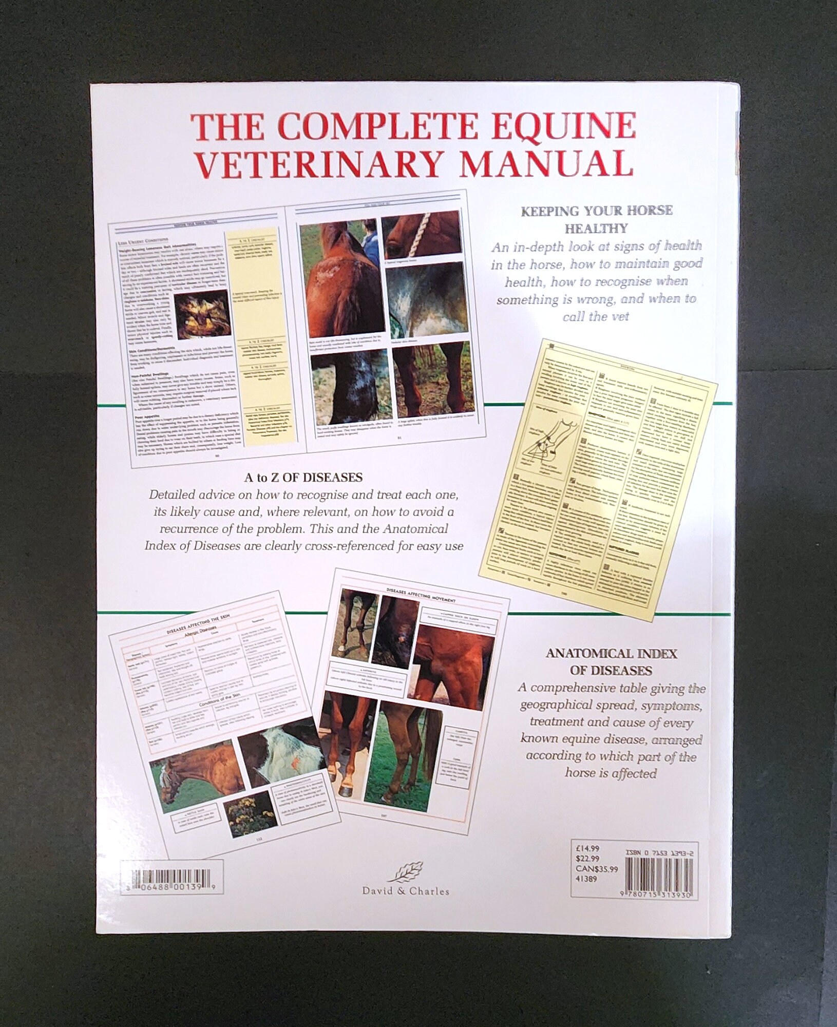 Complete Equine Veterinary Manual: A Comprehensive Guide to Horse Health - Etsy
