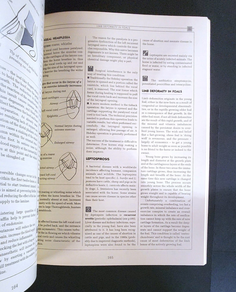 Complete Equine Veterinary Manual: A Comprehensive Guide to Horse ...